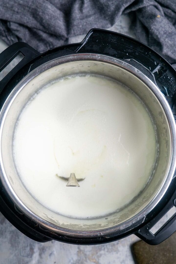 Instant Pot Yogurt (w/ Greek yogurt option) — The Kitchen Girl