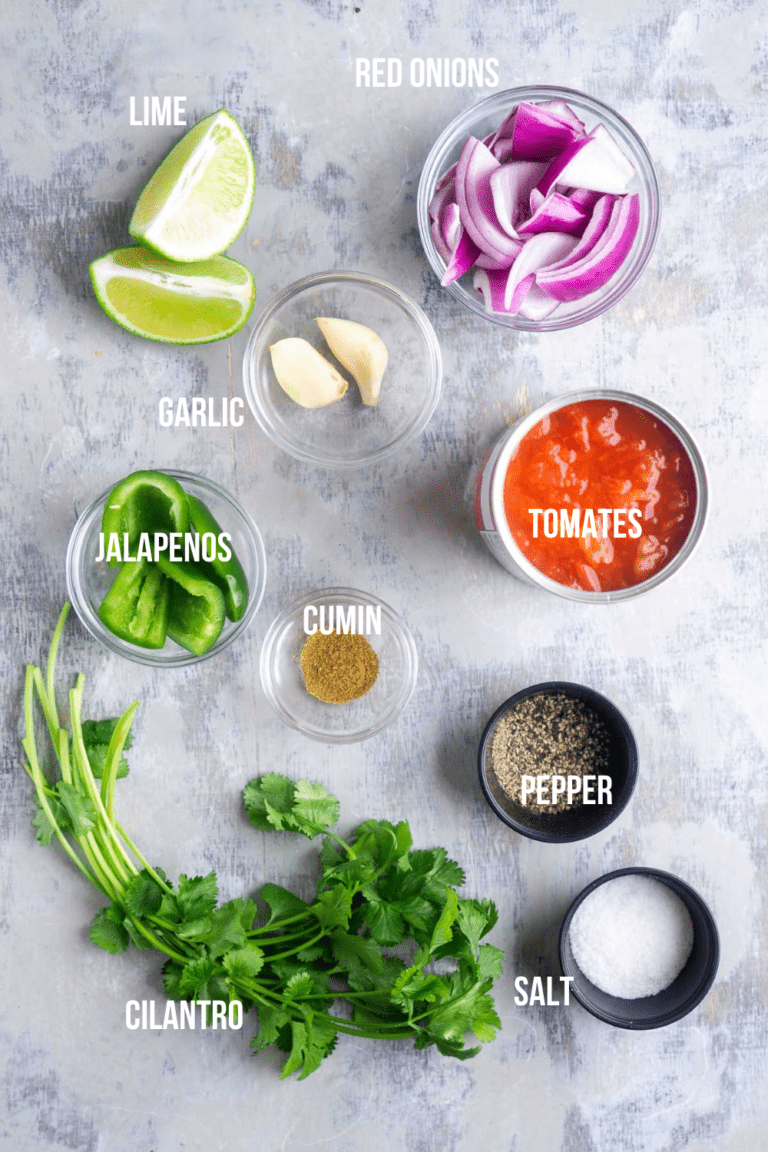 5 Minute Blender Salsa [Restaurant Style Salsa] - The Kitchen Girl
